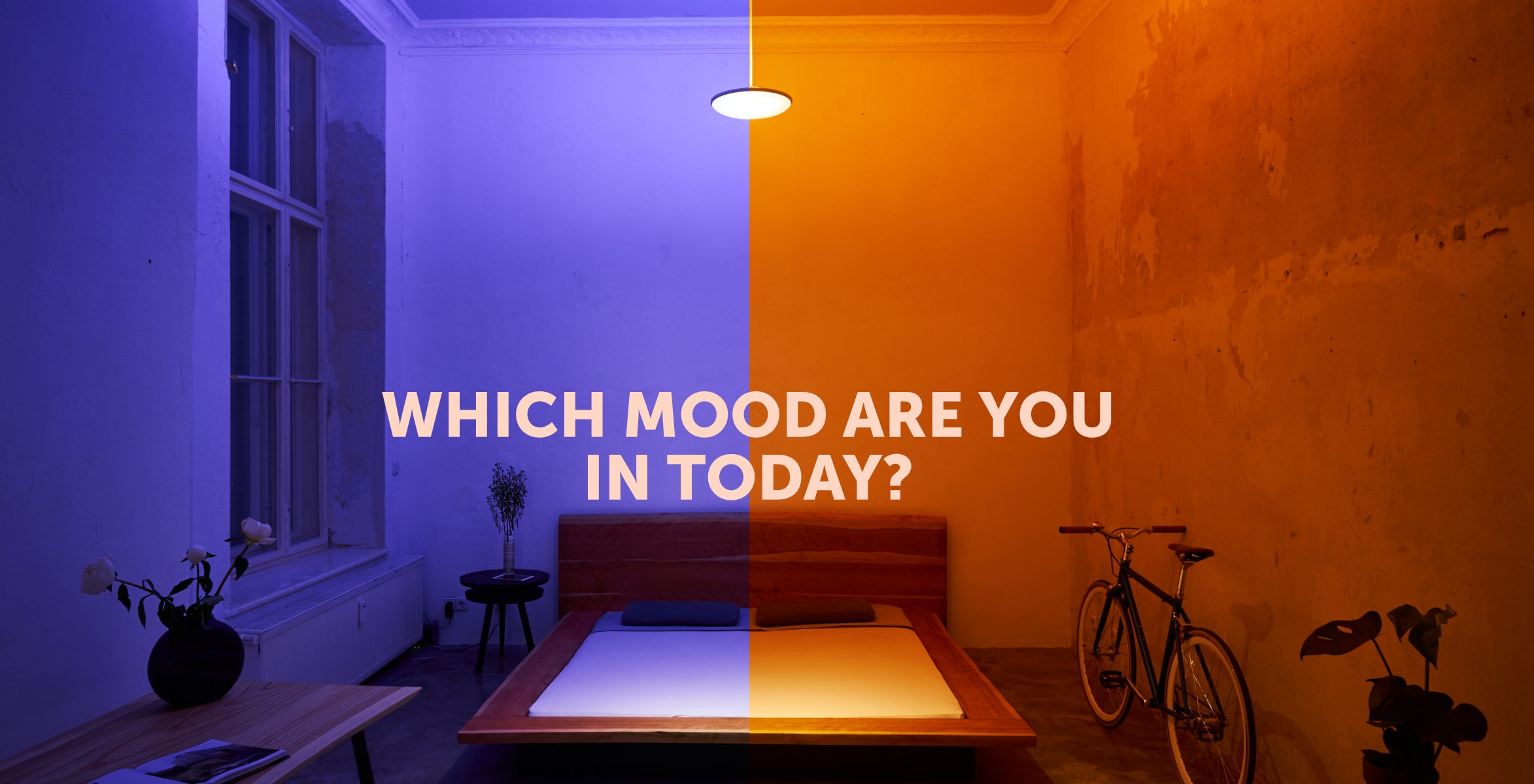 3 Wege wie diese Leuchte Ihre Wohnung transformiert – Luke Roberts Lighting